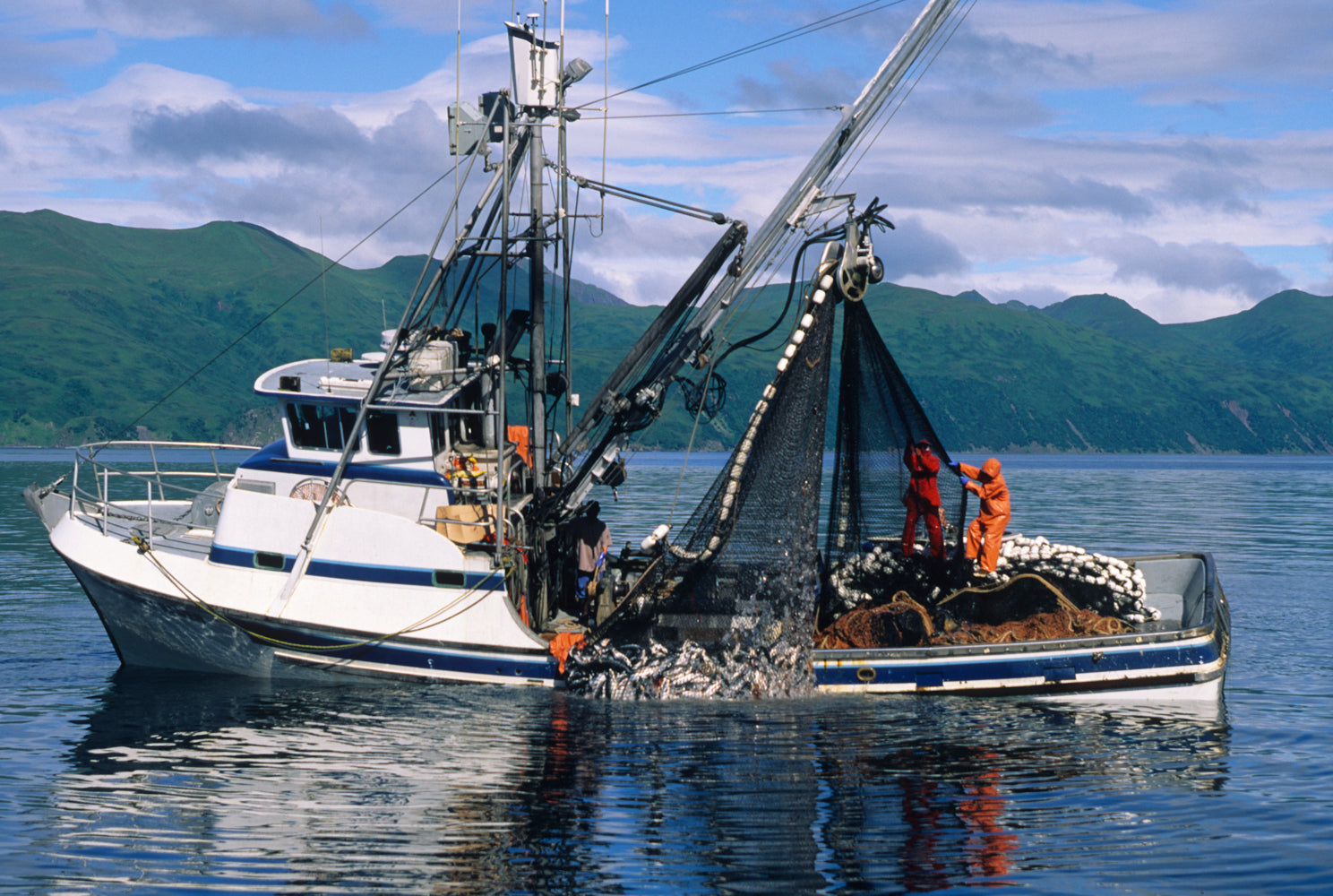 Commercial Fishing Lines – Ravenox