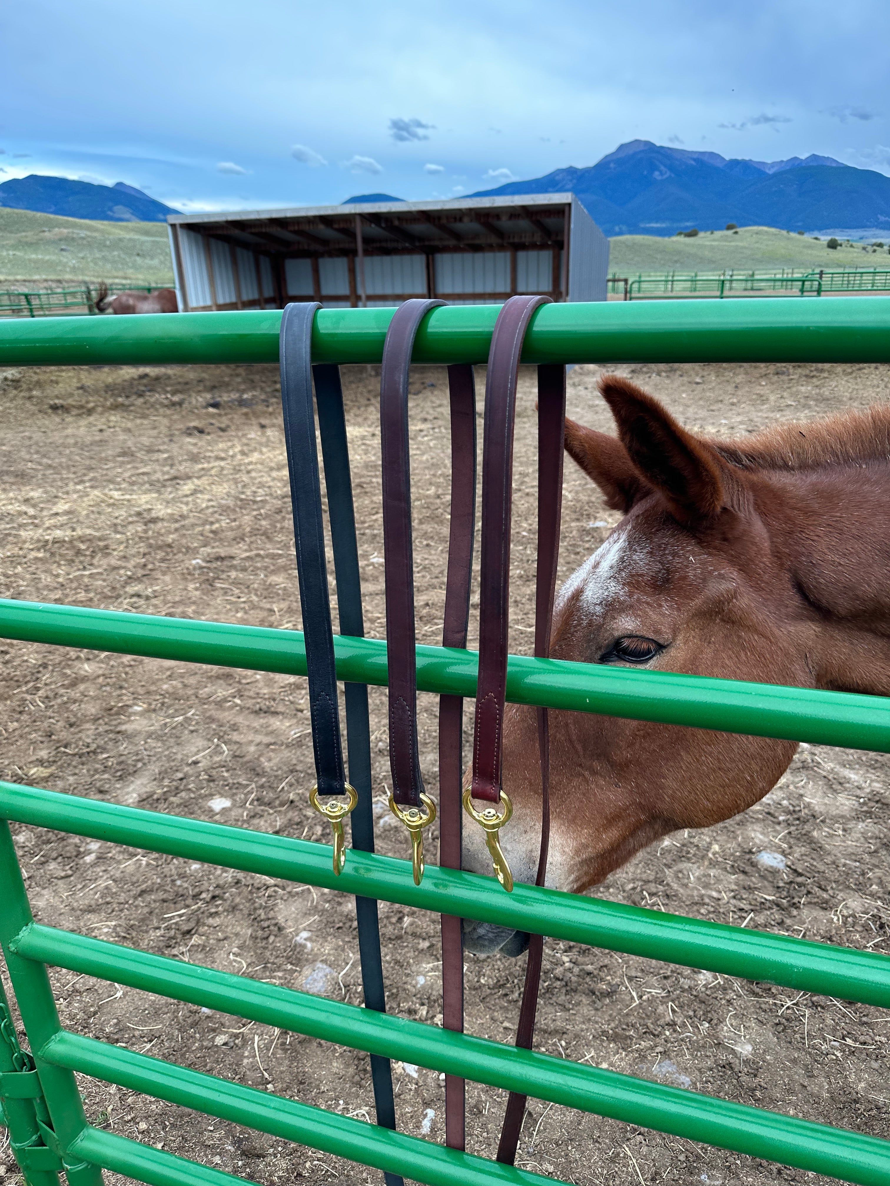 Ravenox Handmade Amish Leather Horse Leads: Classic & Durable