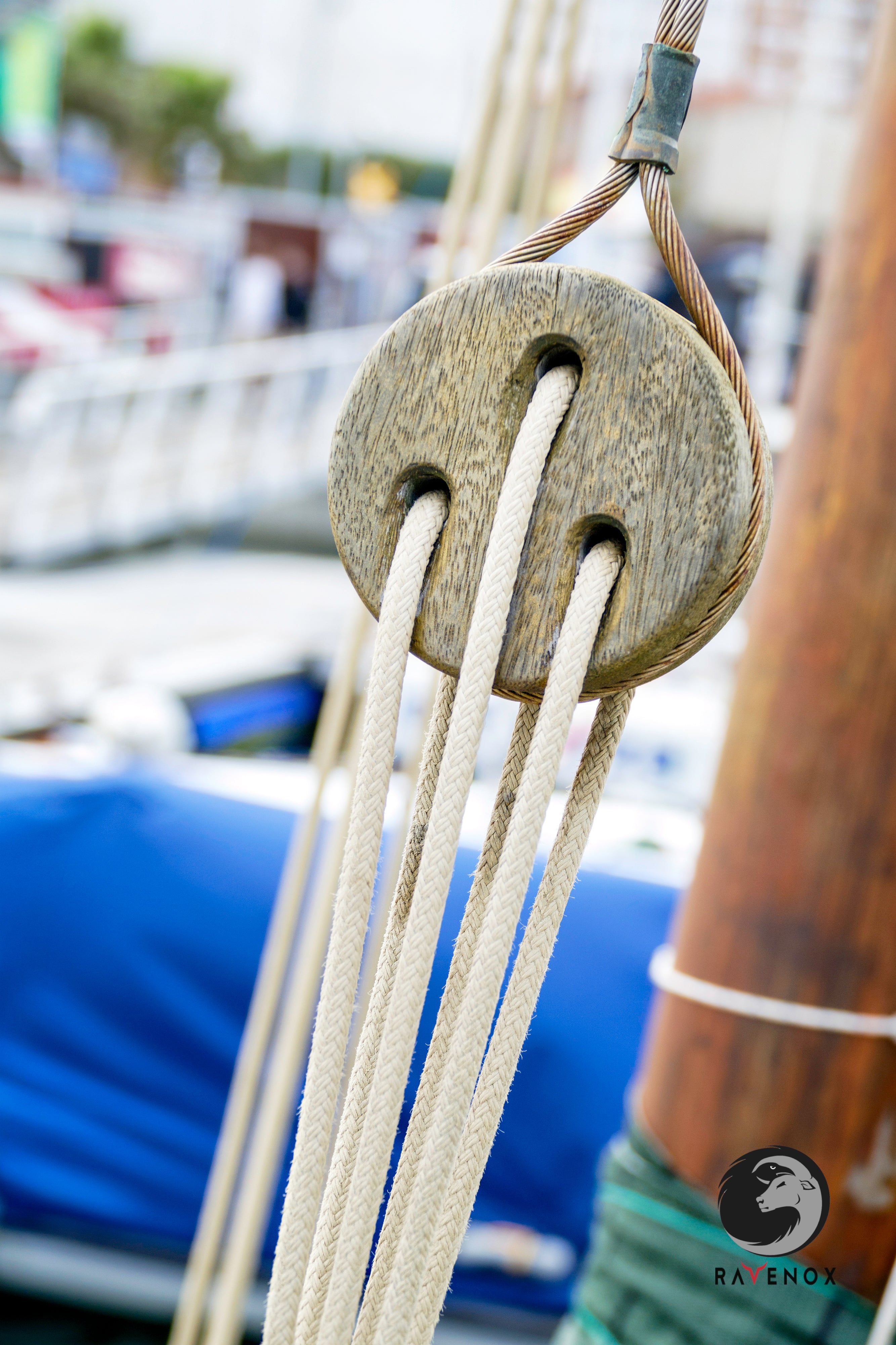 Ravenox Solid Braid Nylon Rope | Made in the USA, MILSPEC Cord