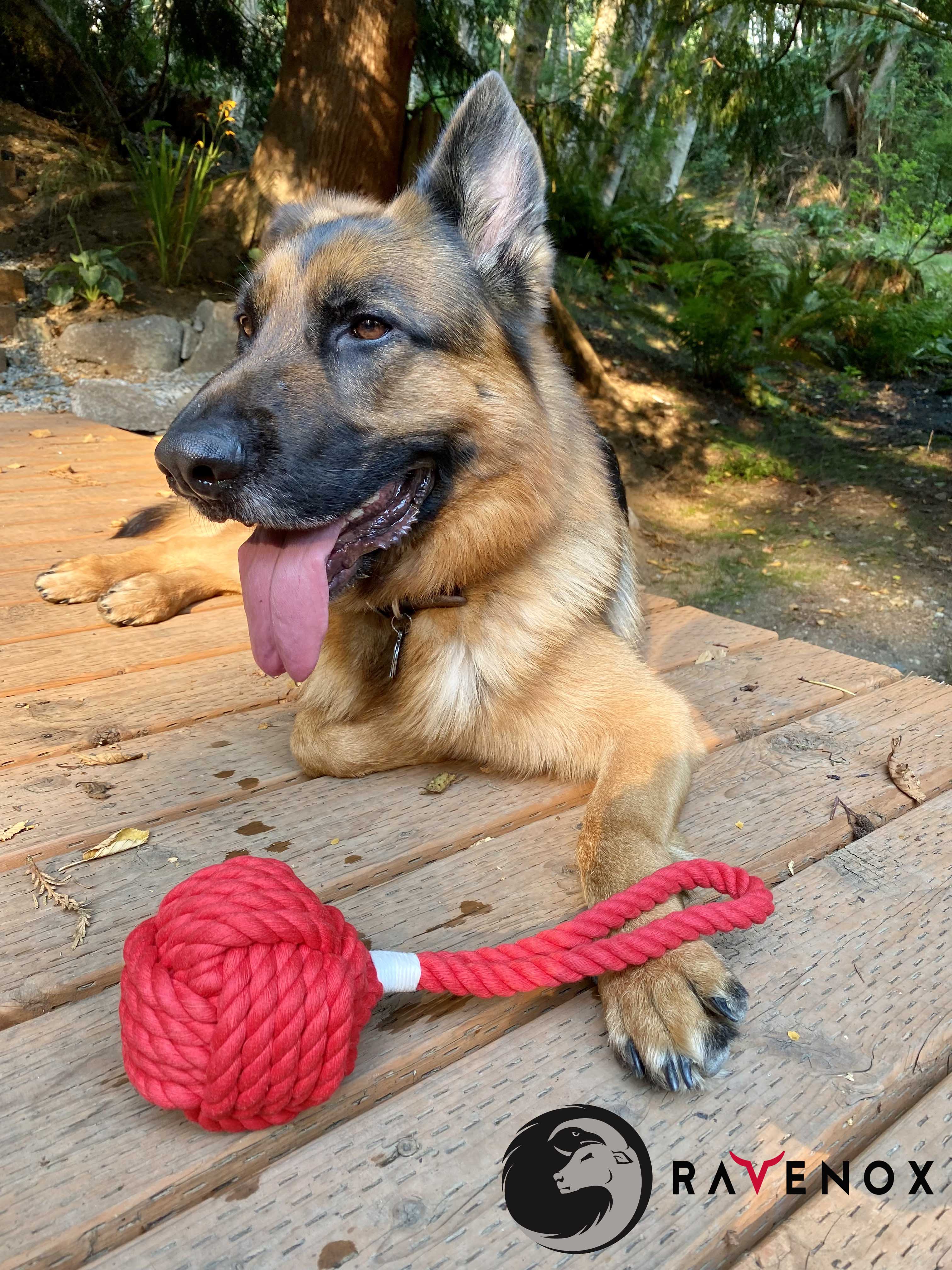 Rope Ball Tug Chew Toy for Dogs | Colorful Cotton Throw Toys – Ravenox