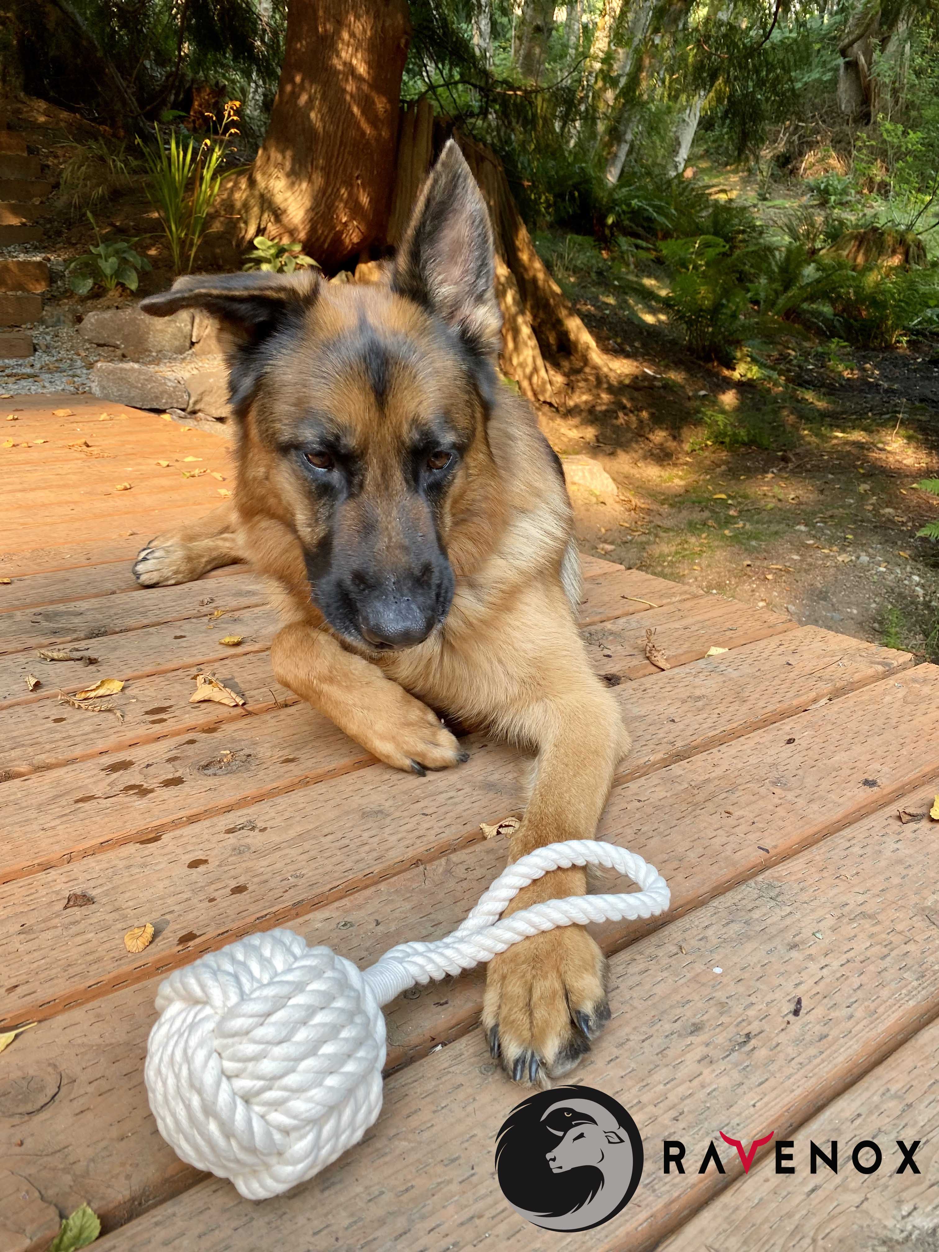 Rope Ball Tug Chew Toy for Dogs | Colorful Cotton Throw Toys – Ravenox